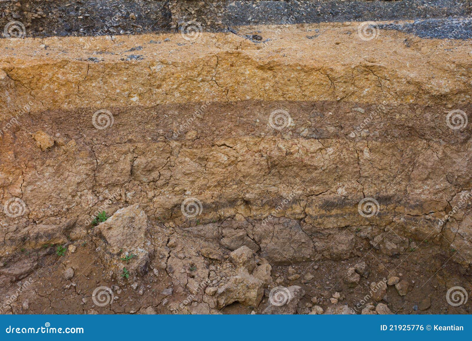 Dirt Road Cross Section