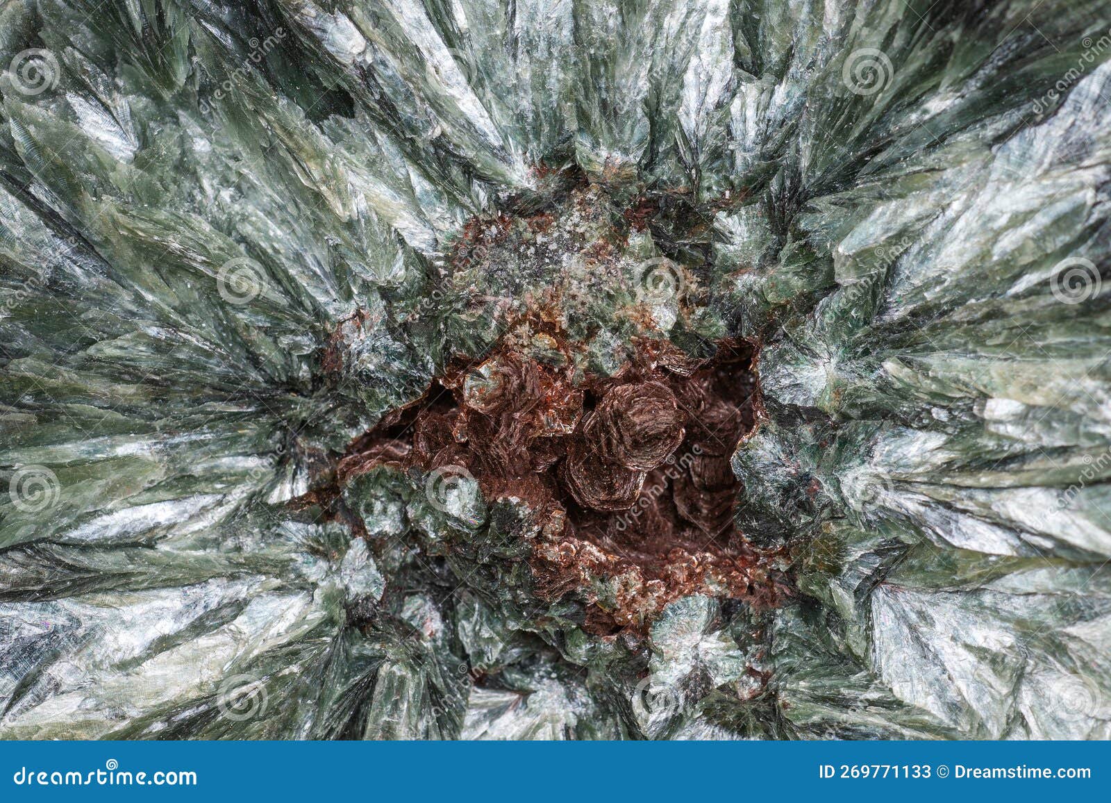 Cross Section of Russian Seraphinite Mineral Stone with Feather-like ...