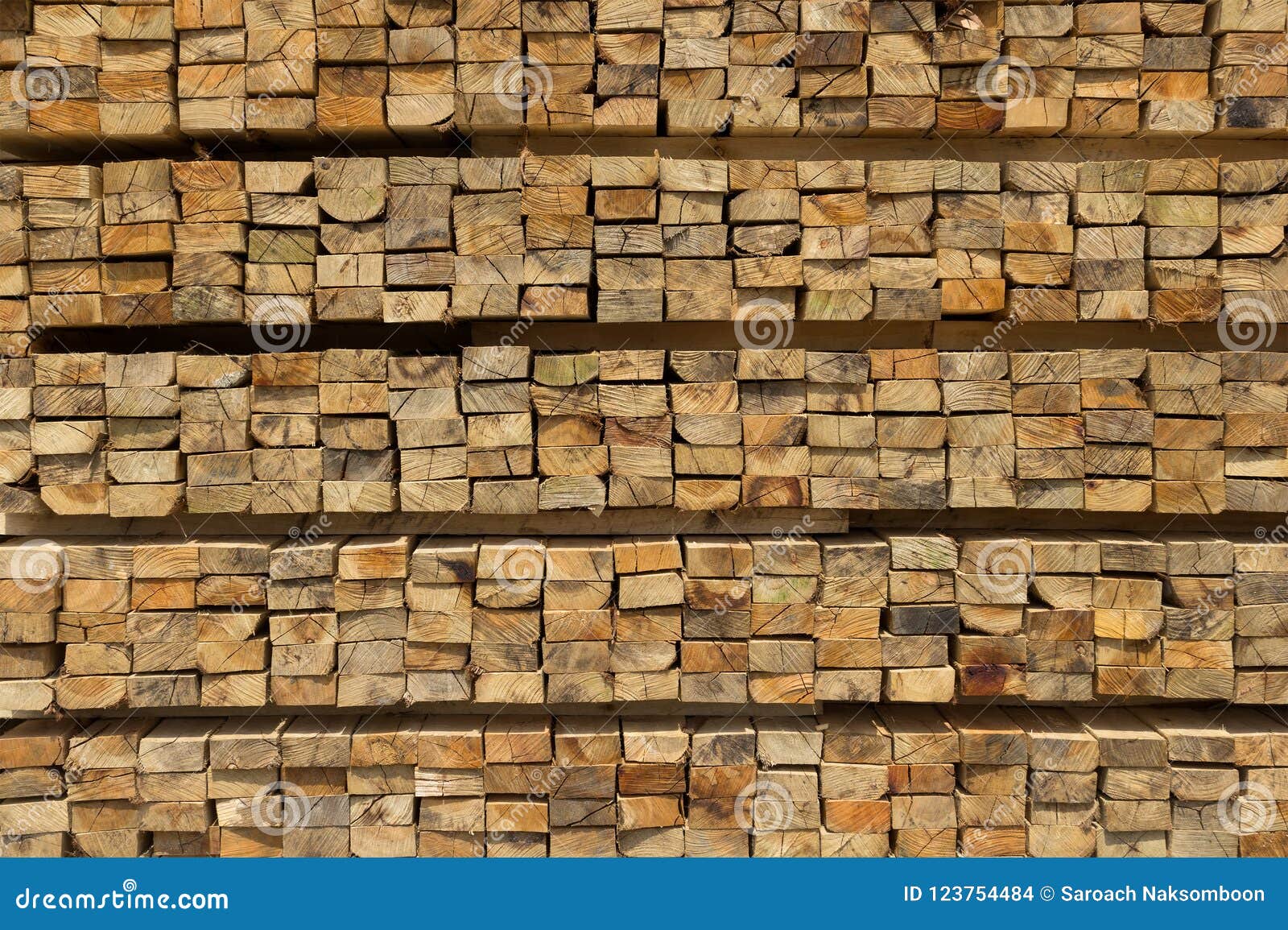 Cross Section of Sawn Timber Stock Photo - Image of interior ...