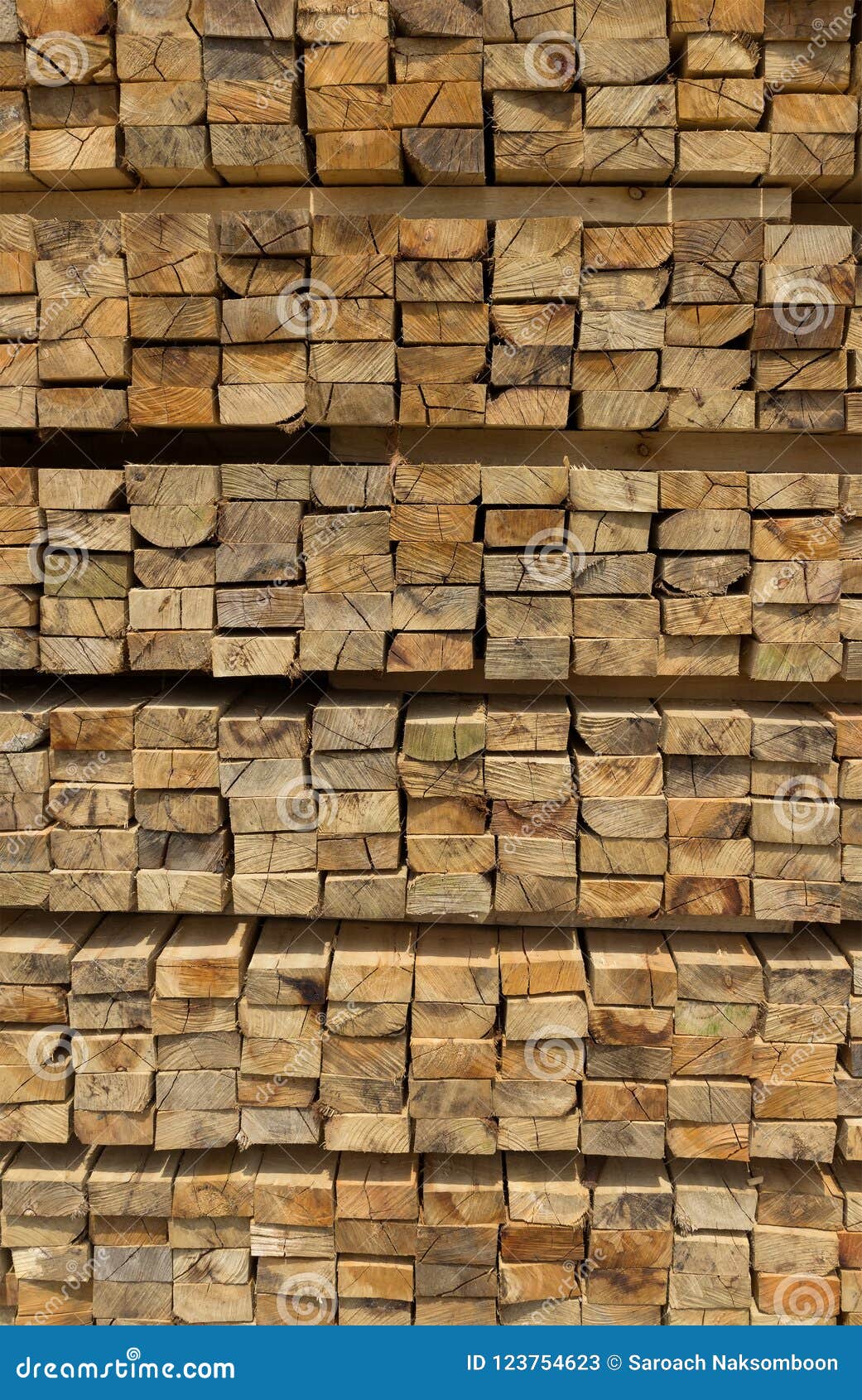 Cross Section of Sawn Timber Stock Image - Image of carpentry, oriental ...