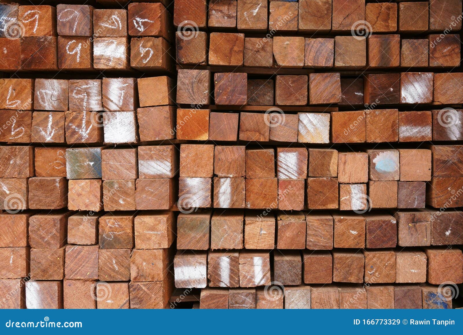 Cross Section of Sawn Timber,Selection of Freshly Sawn Timber Material ...