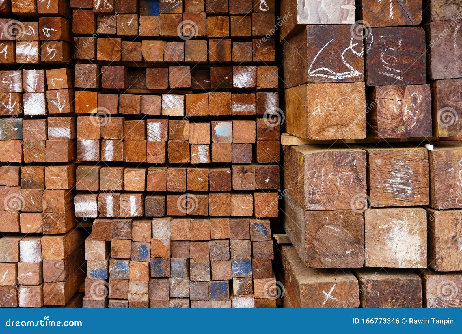 Cross Section of Sawn Timber,Selection of Freshly Sawn Timber Material ...