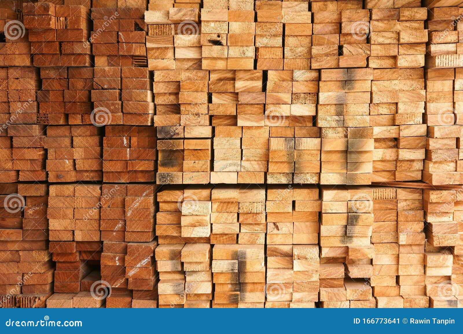 Cross Section of Sawn Timber,Selection of Freshly Sawn Timber Material ...