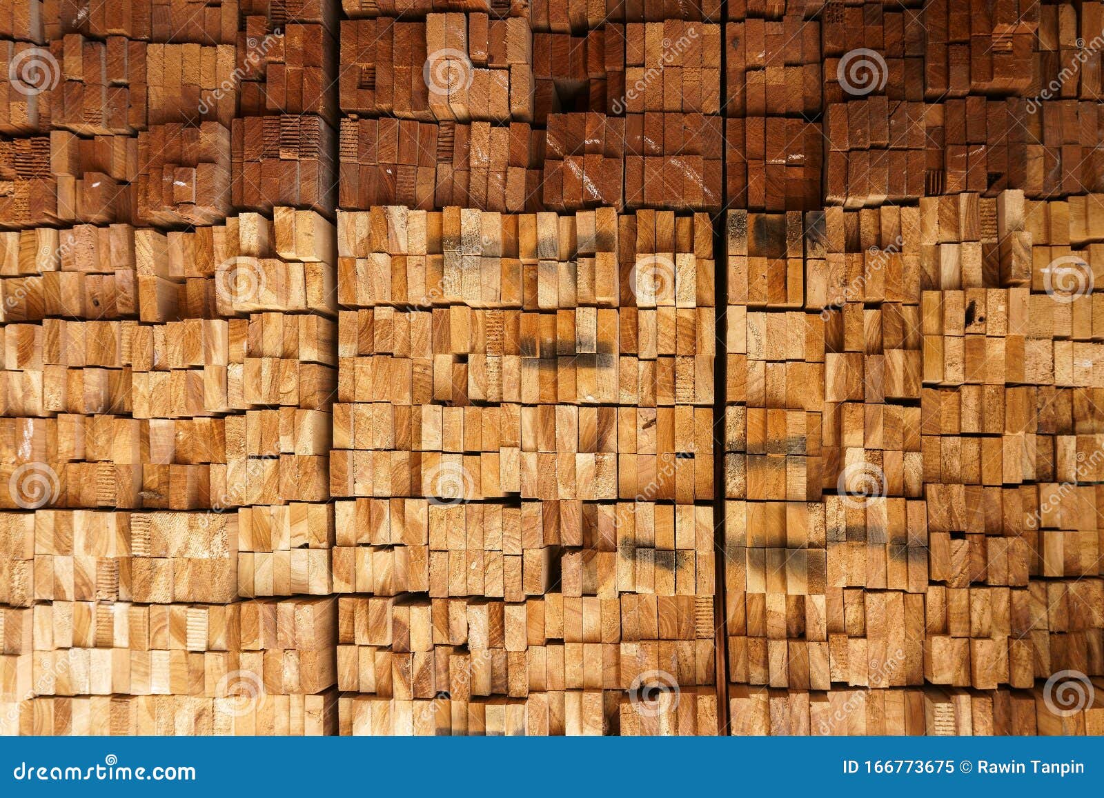 Cross Section of Sawn Timber,Selection of Freshly Sawn Timber Material ...