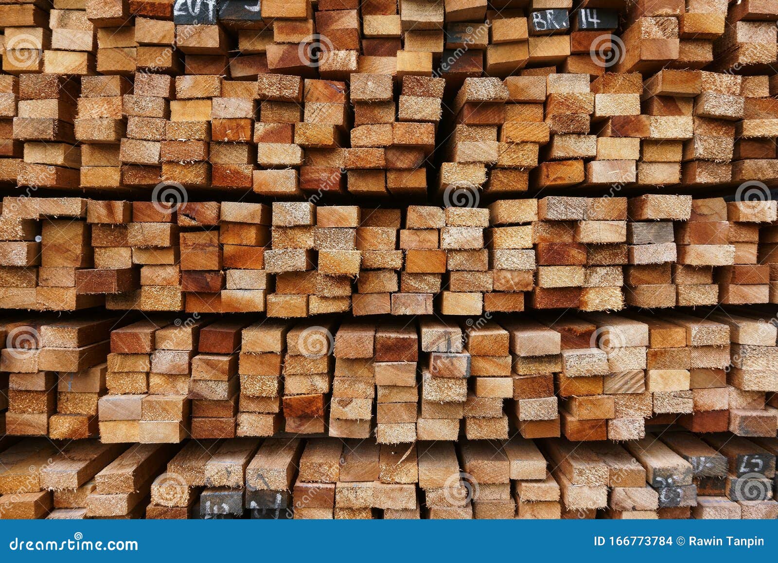 Cross Section of Sawn Timber,Selection of Freshly Sawn Timber Material ...
