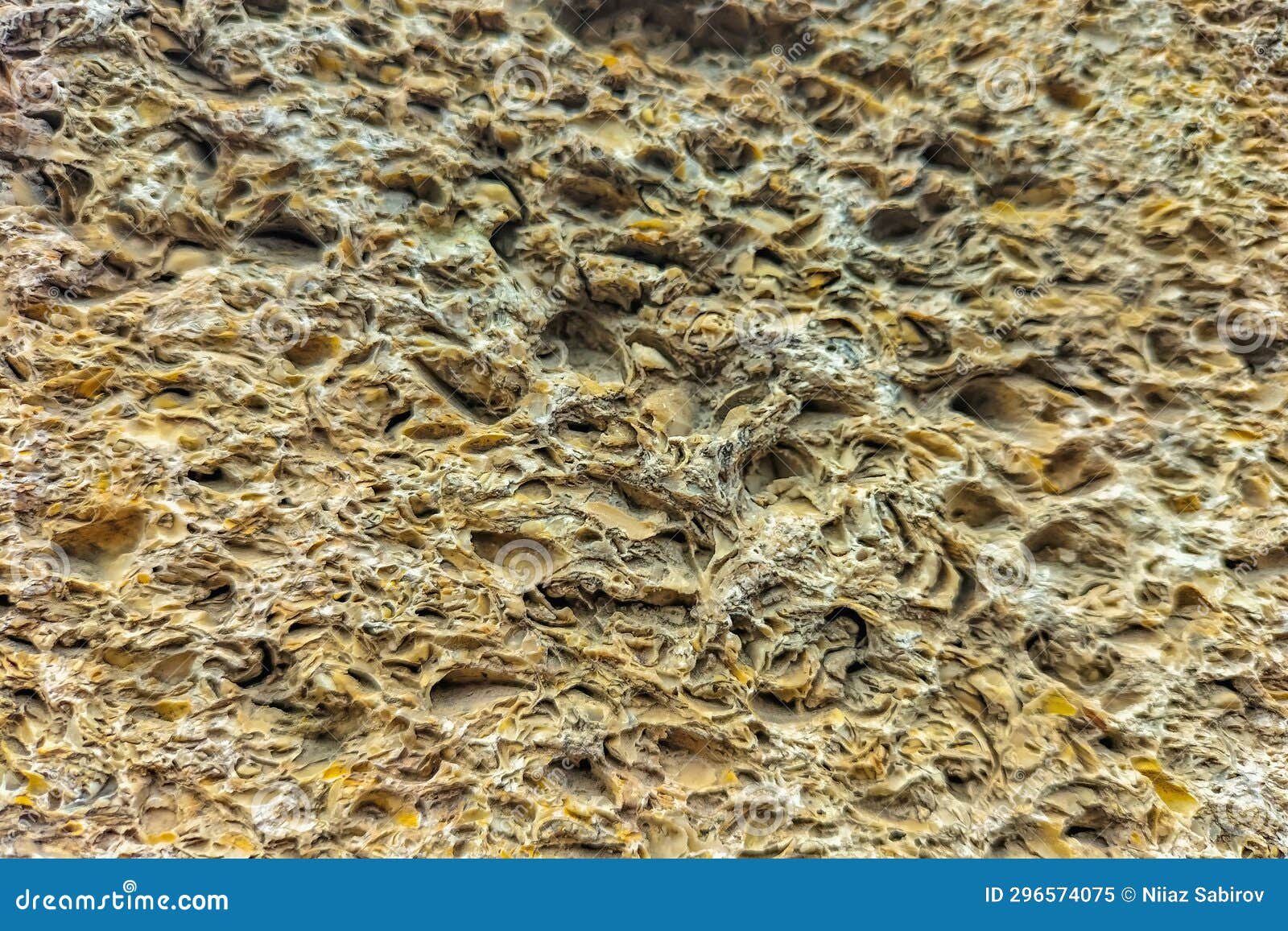 Cross-section of a Shell Wall with Irregularities and Air Gaps between ...