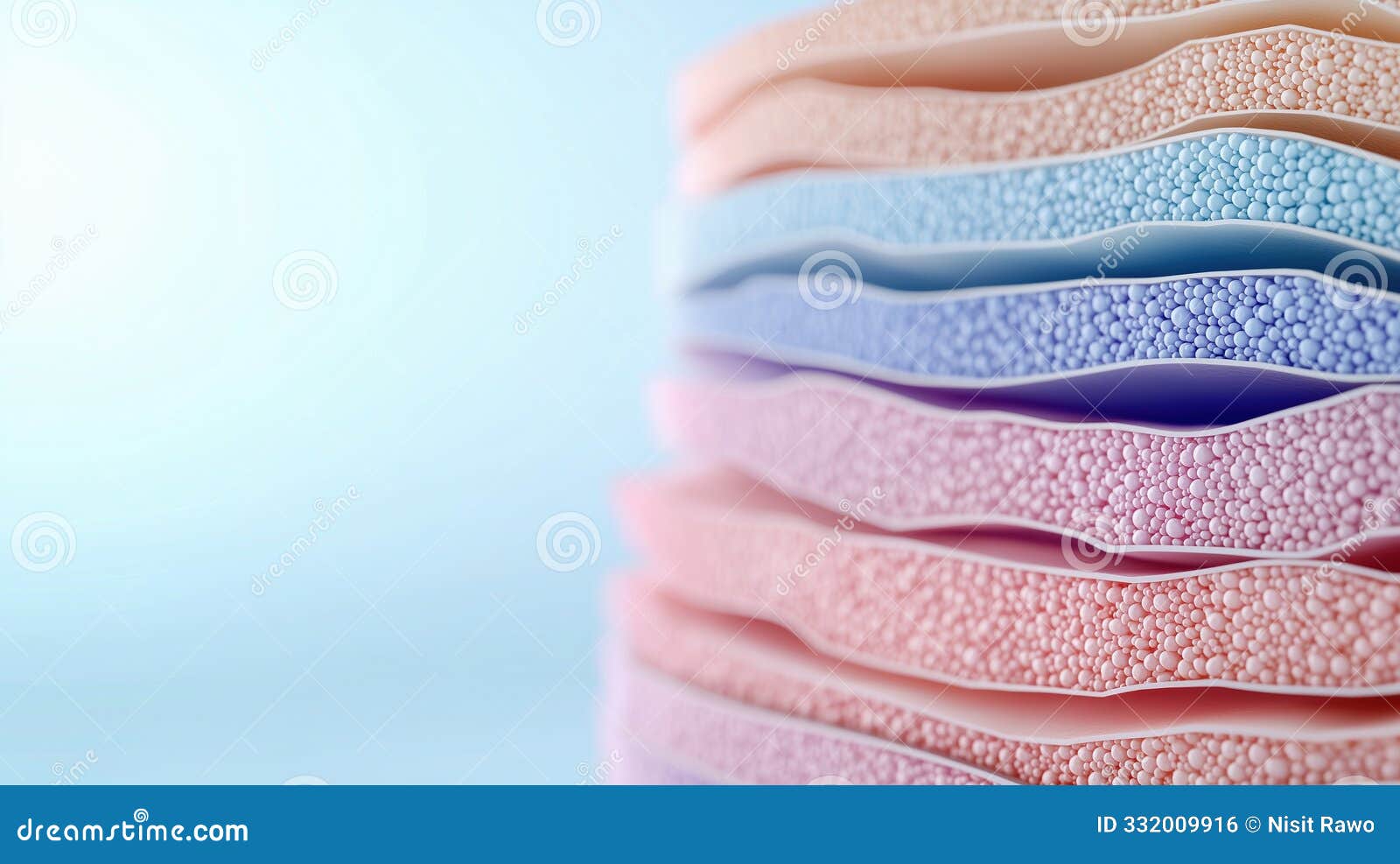 Cross-section of Skin Tissue Under a Microscope, Showing Layers of ...