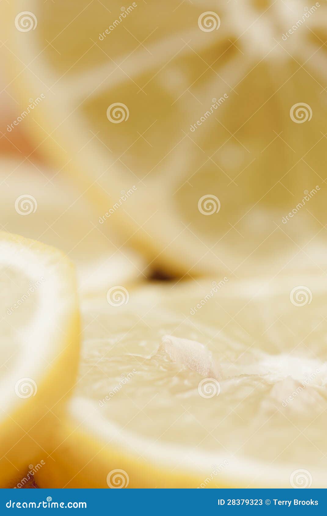 Cross Section of Sliced Lemon. Stock Image - Image of macro, lemon ...