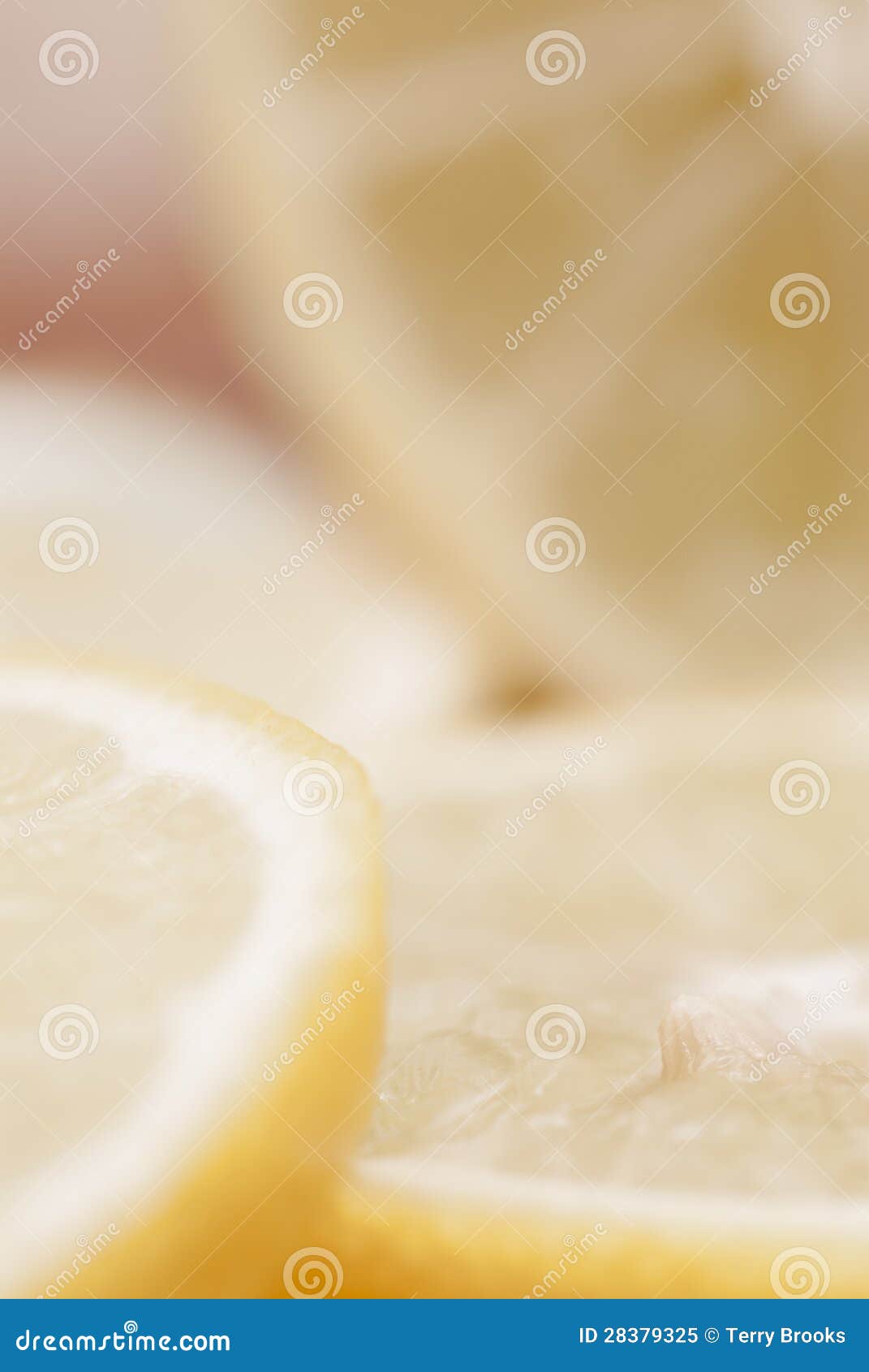 Cross Section of Sliced Lemon. Stock Image - Image of ripe, health ...