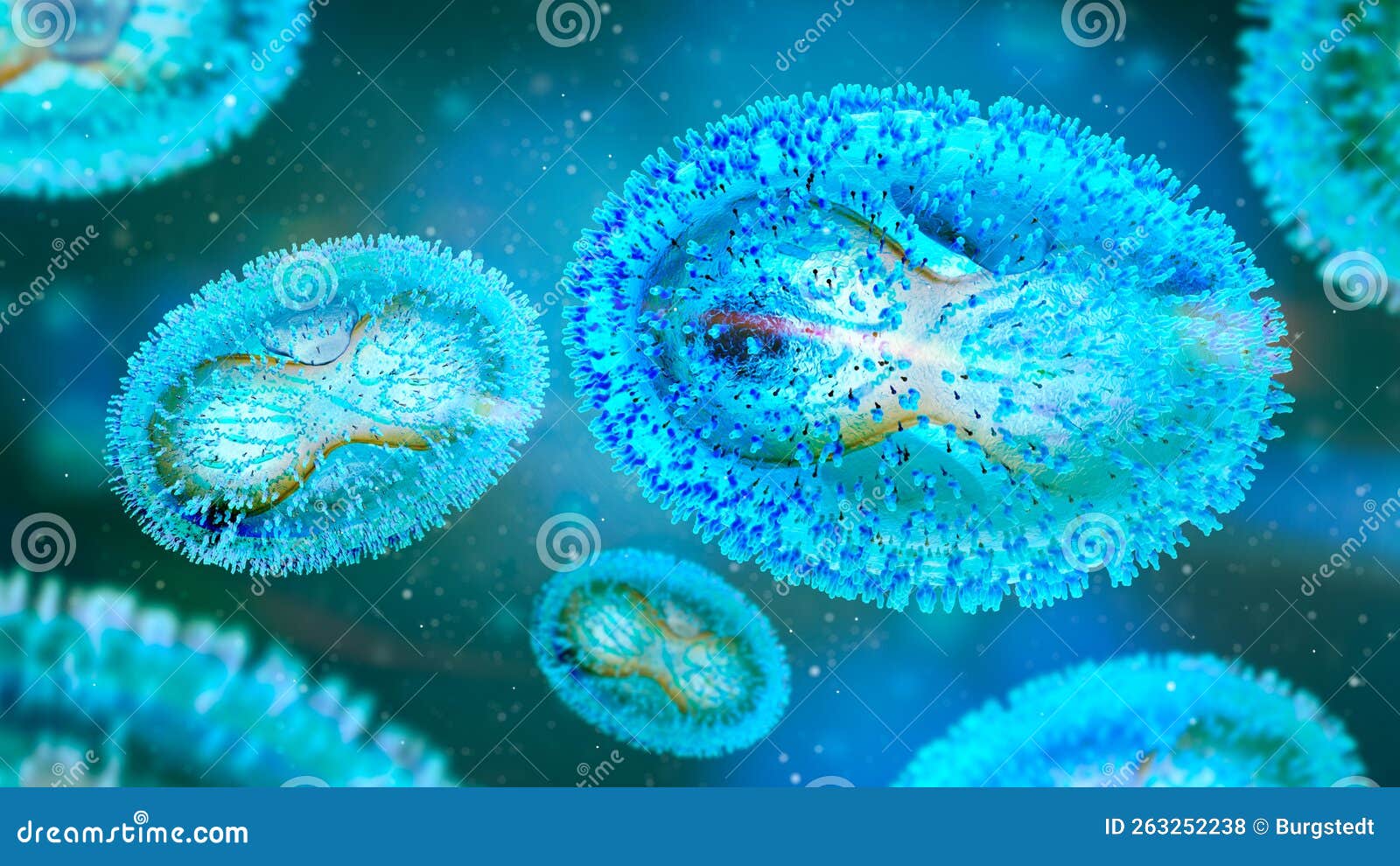 Cross Section of a Smallpox Pathogen with Cell Membrane, Nucleocapsid ...