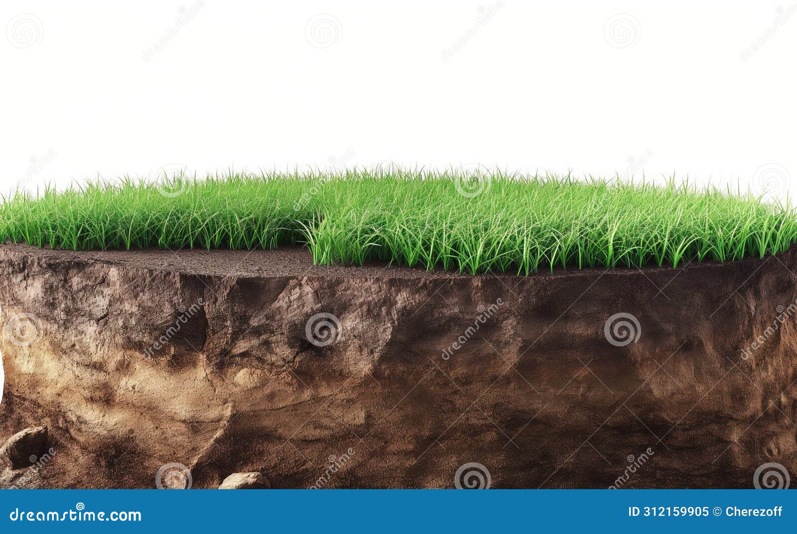 Cross Section of Soil with Grass Stock Image - Image of environment ...