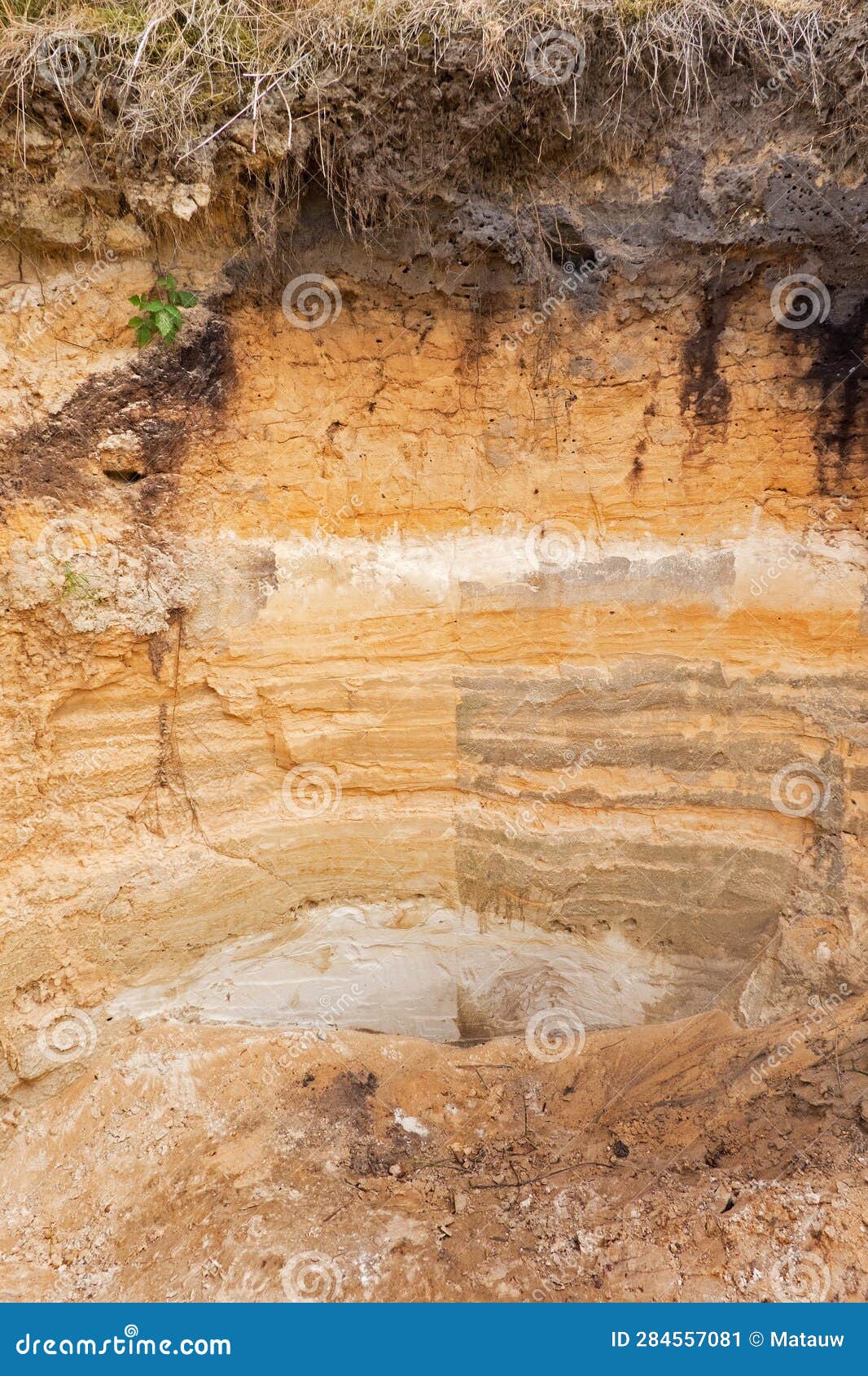 Cross-section Of Soil, Soil Profile Stock Image | CartoonDealer.com ...