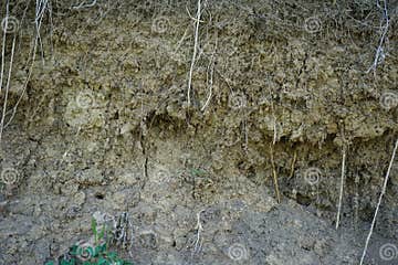 Texture Layers of the Earth. Cross-section in the Soil Stock Image ...