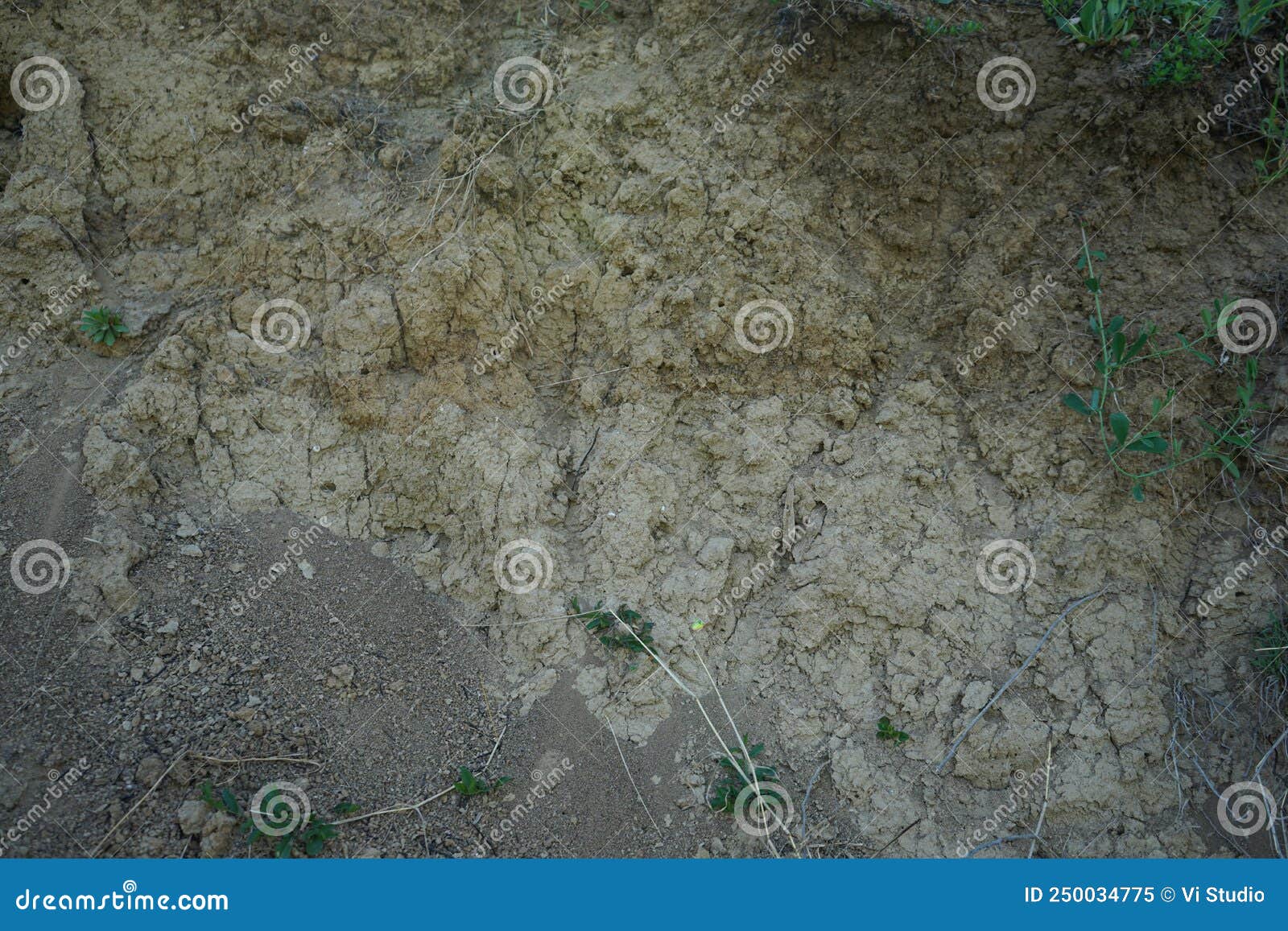 Texture Layers of the Earth. Cross-section in the Soil Stock Image ...