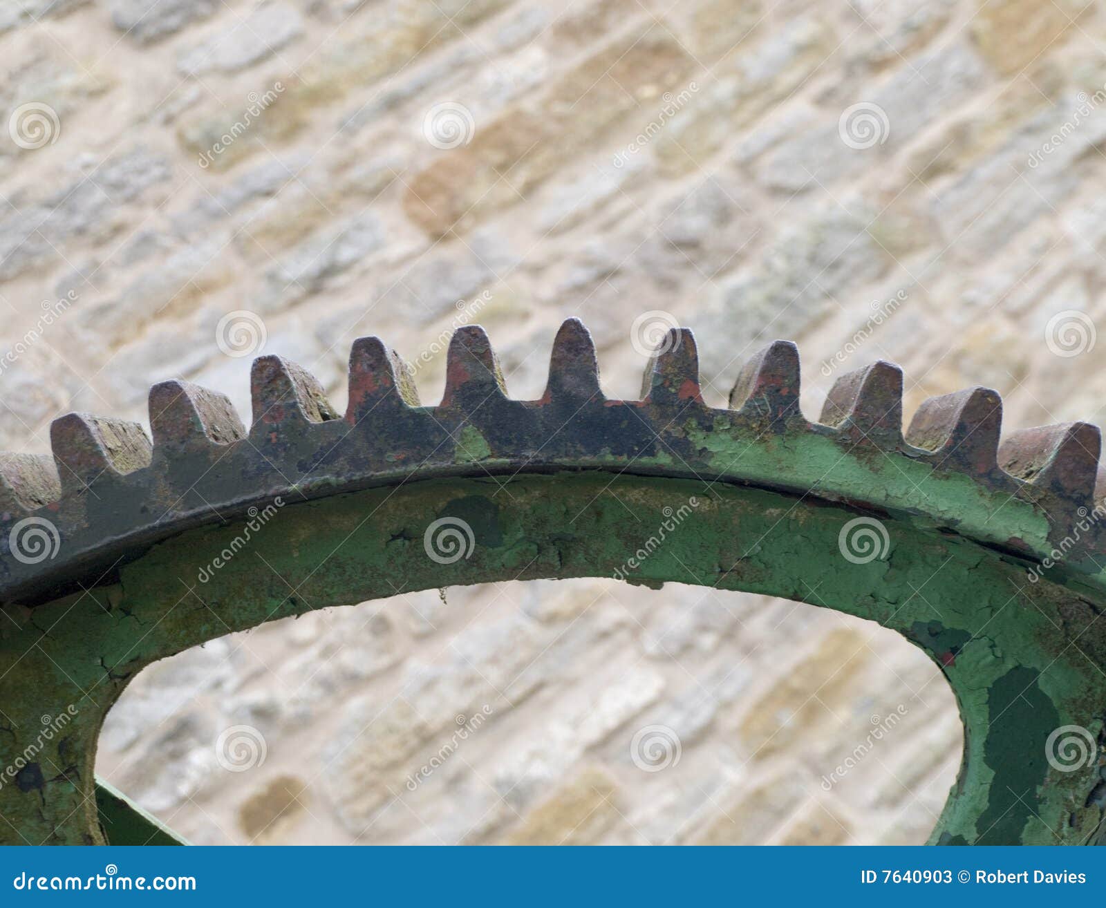 Cross Section of Steel Cog Gear Stock Image - Image of wheel ...