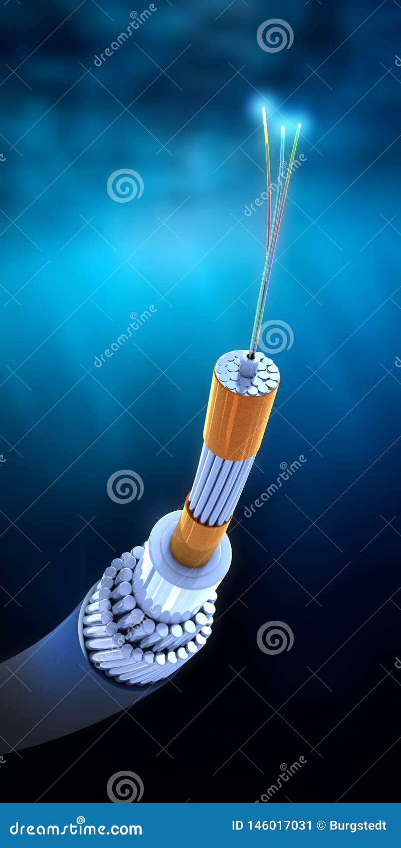 Cross Section of a Submarine Communications Cable Stock Illustration ...