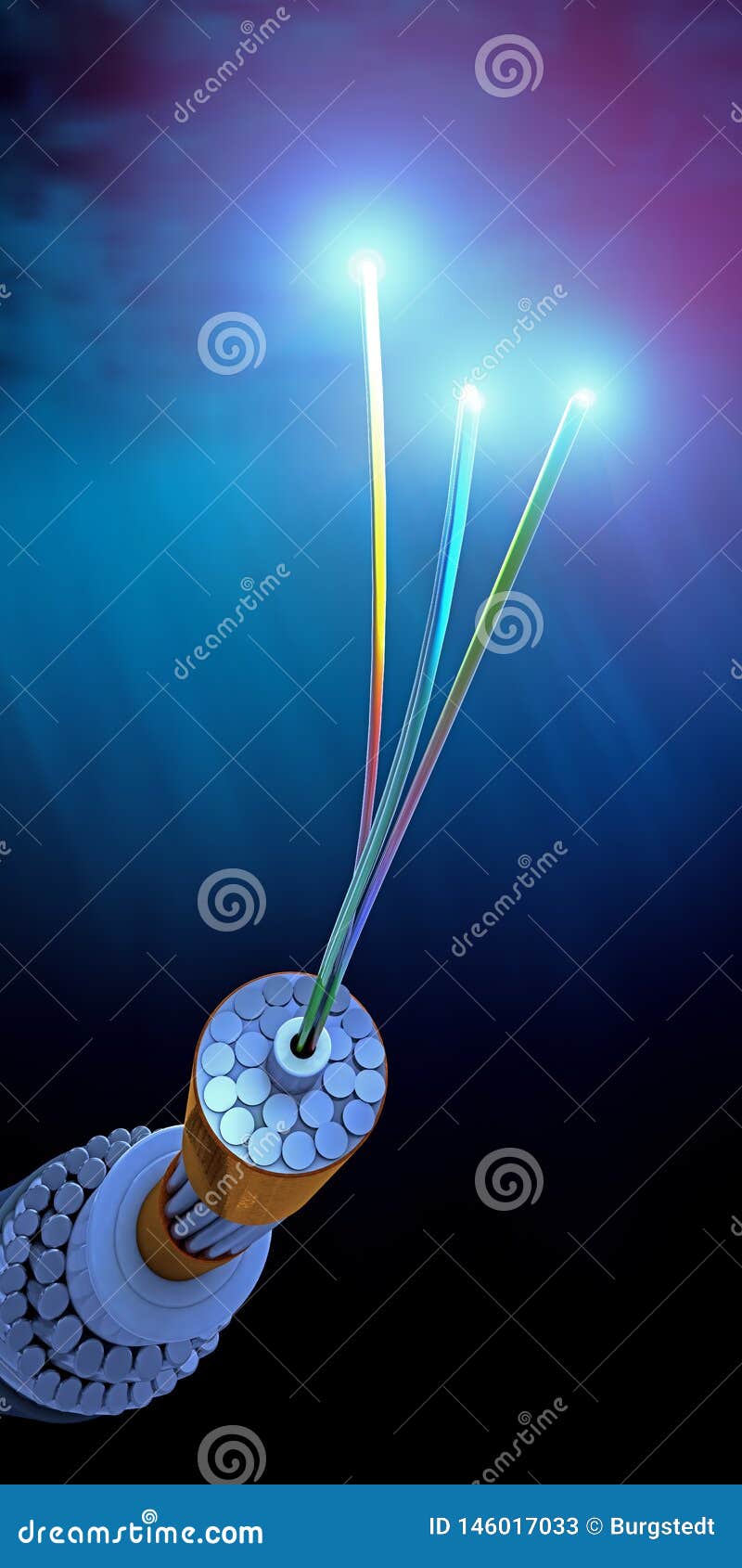 Cross Section of a Submarine Communications Cable Stock Illustration ...