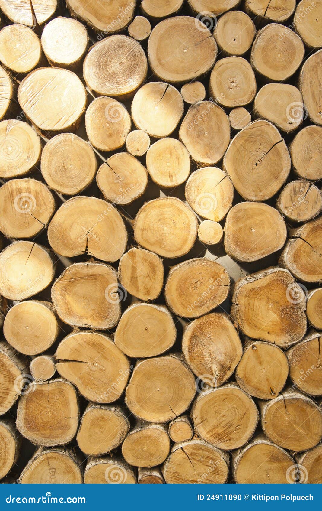 Cross Section Of The Timber Stock Photo - Image of brown, bark: 24911090