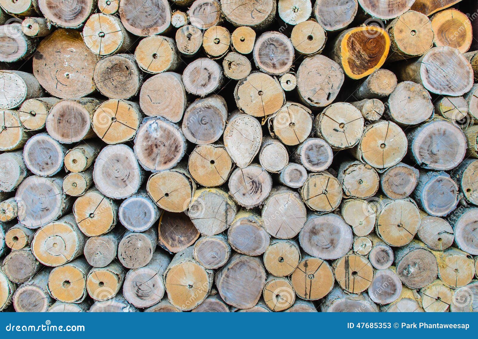 Cross Section Timber stock image. Image of brown, trunk - 47685353