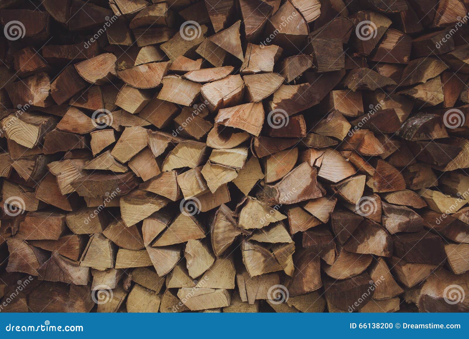 Cross Section of the Timber Stock Photo - Image of cross, heap: 66138200