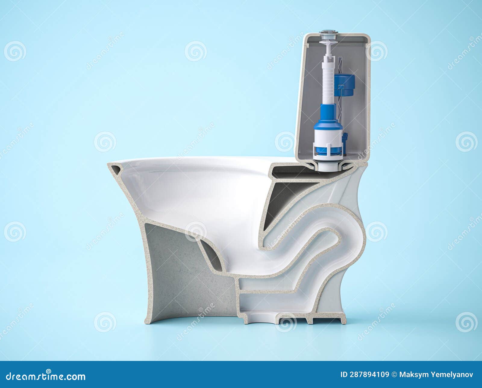 Cross Section of Toilet Bowl. Structure of Bowl and Toilet Tank Stock ...