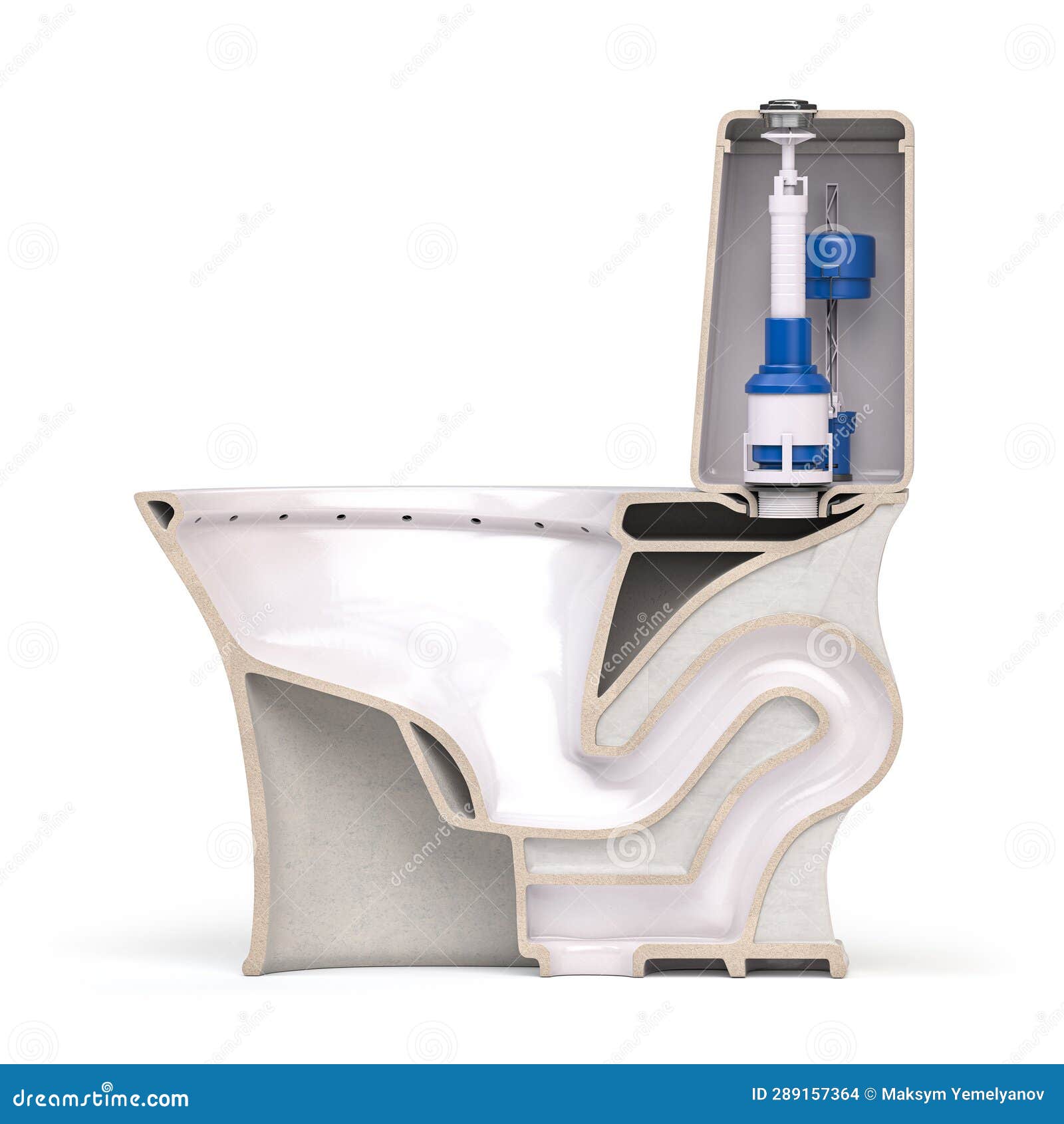 Cross Section of Toilet Bowl. Structure of Bowl and Toilet Tank Stock ...