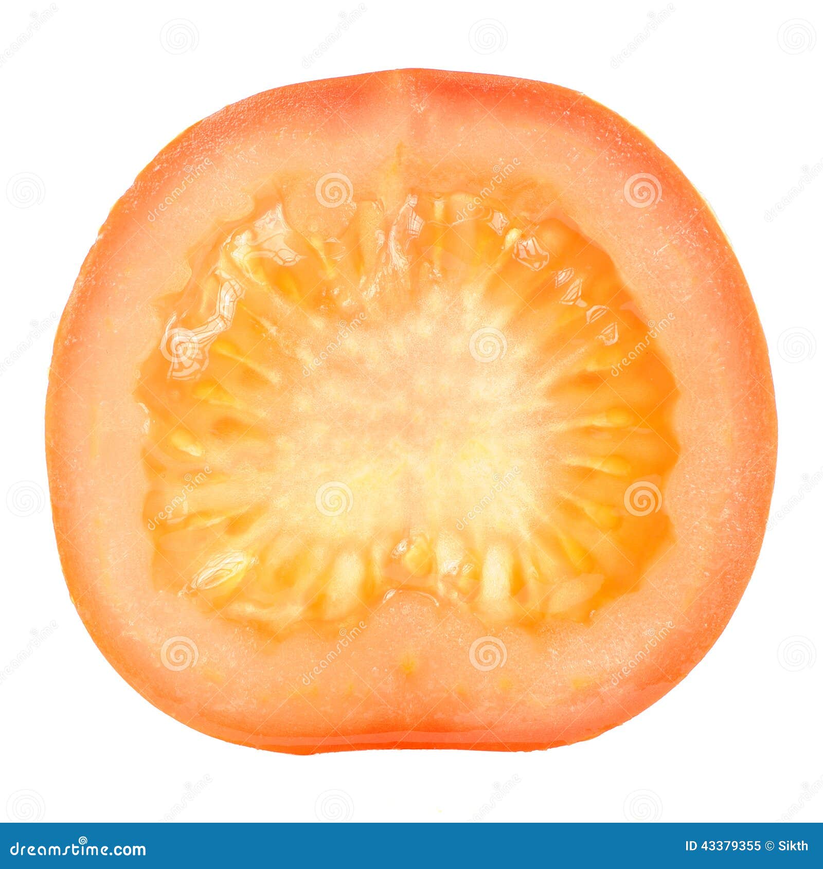 Cross Section of Tomato Isolated on White Background Stock Image ...