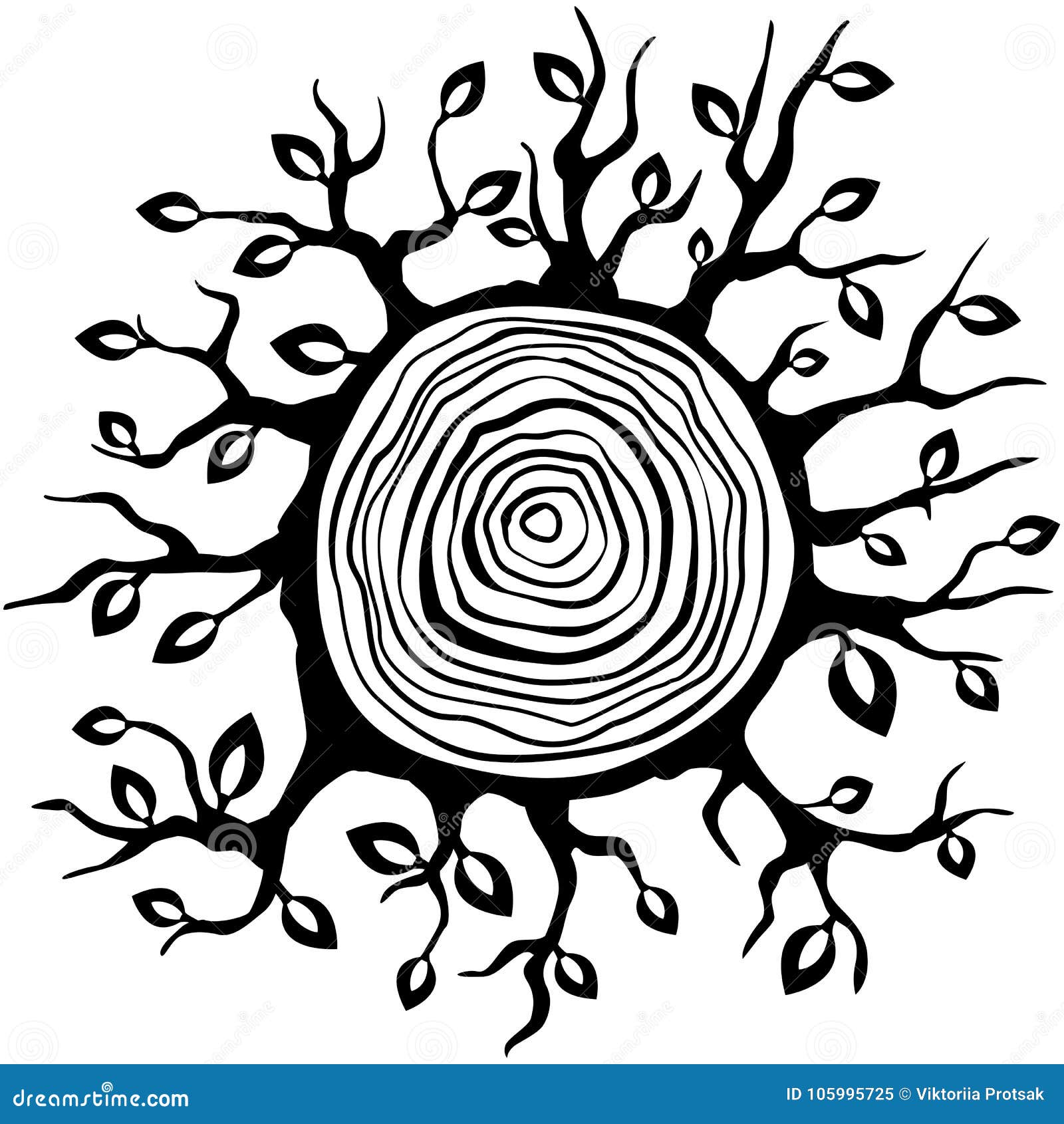 Cross Section of the Tree and Branches Stock Vector - Illustration of ...