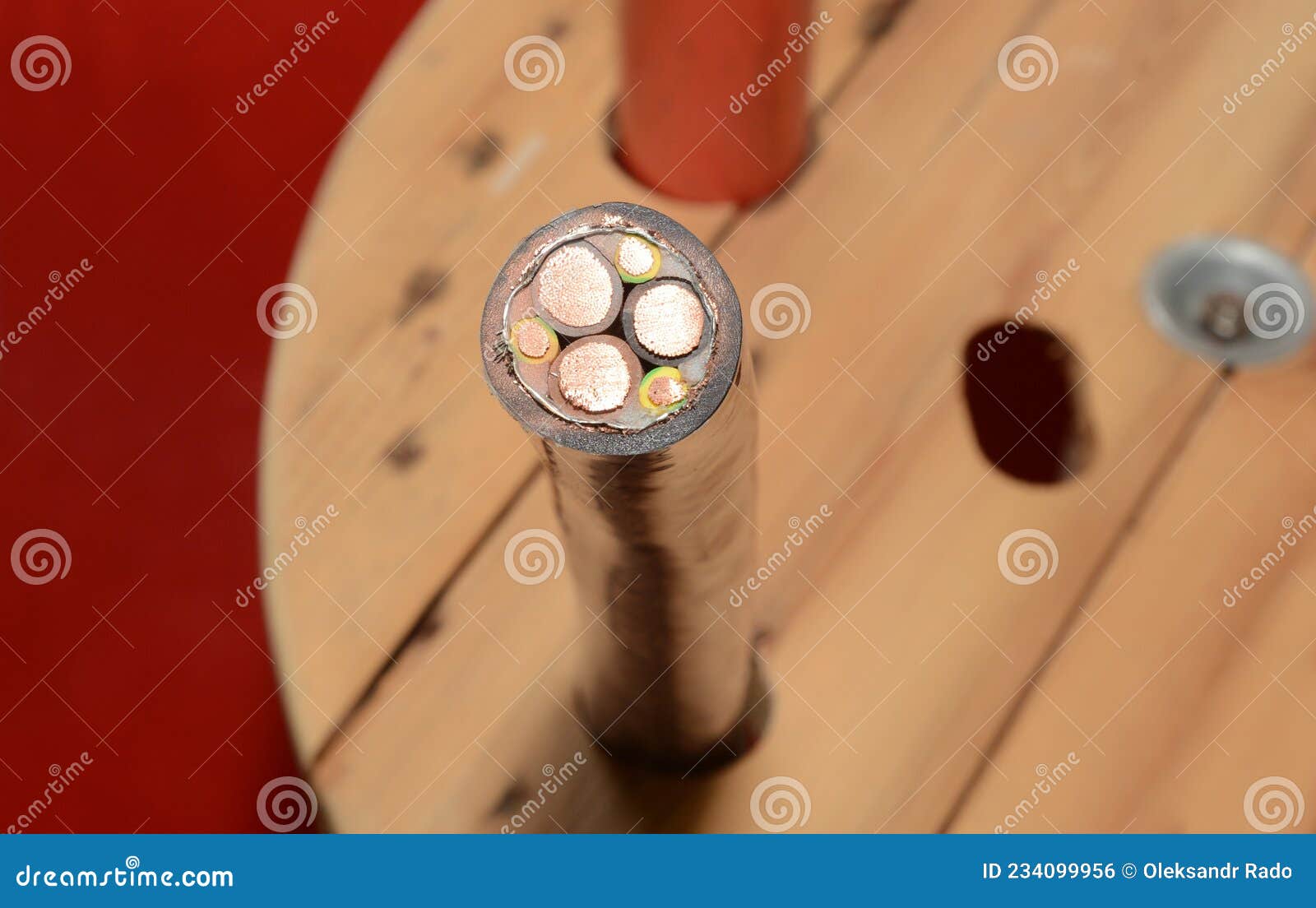 The Cross-section of a Tree Conductor Wire Power Cable. a Close-up of a ...