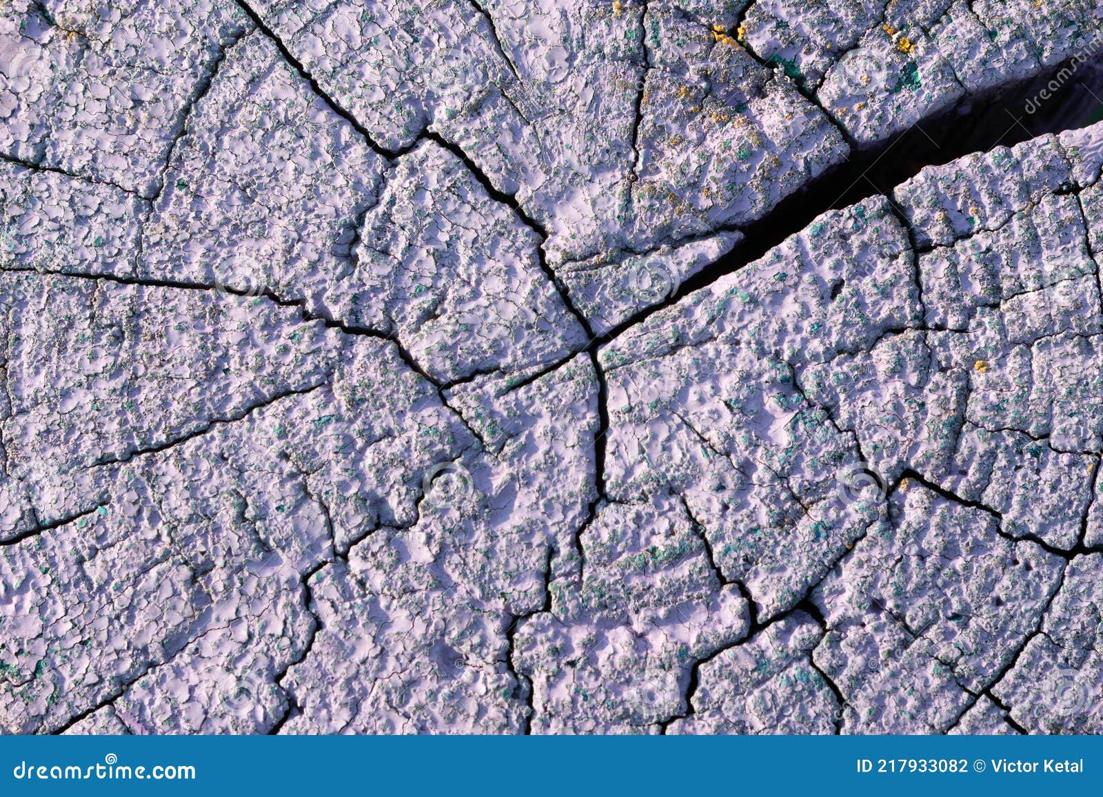 Cross Section of a Tree. the End of a Lilac Wooden Fence Post. Stock ...