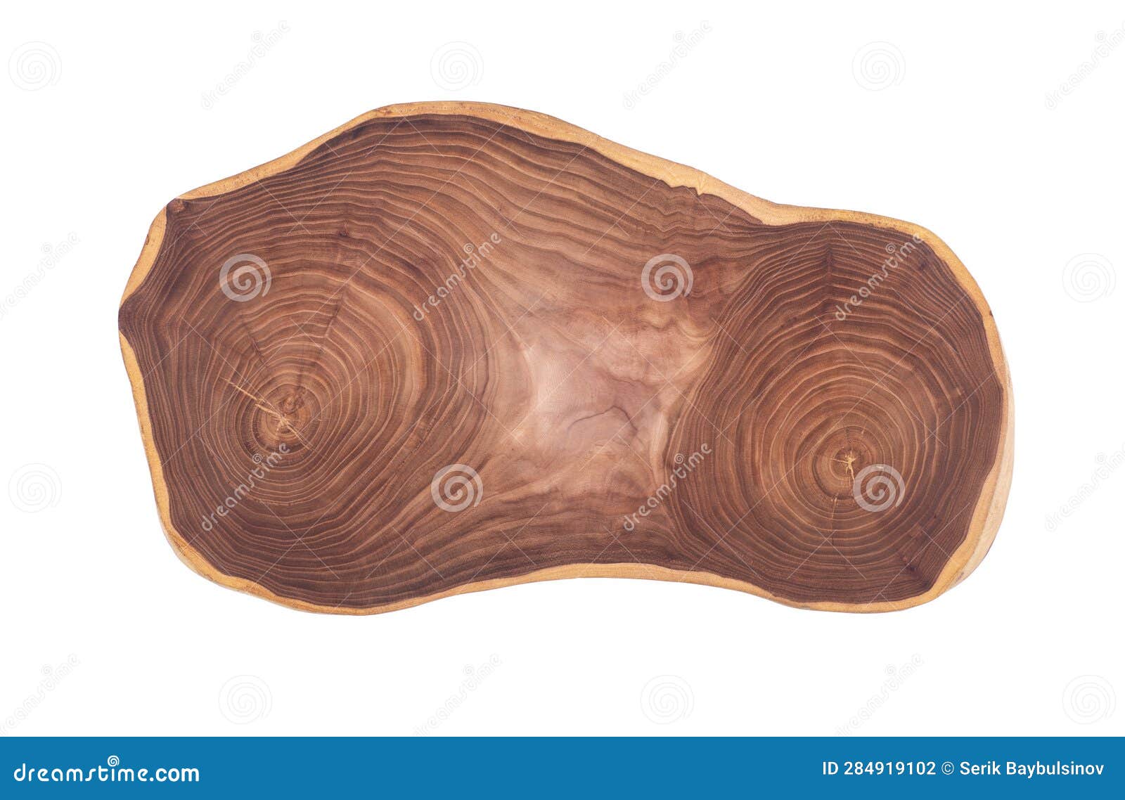 Cross Section of Tree Isolated on White Stock Photo - Image of timber ...