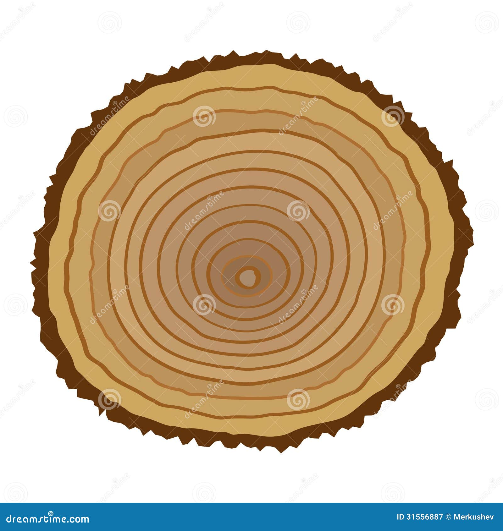 Cross Section of Tree Stump Stock Vector - Illustration of brown, split ...