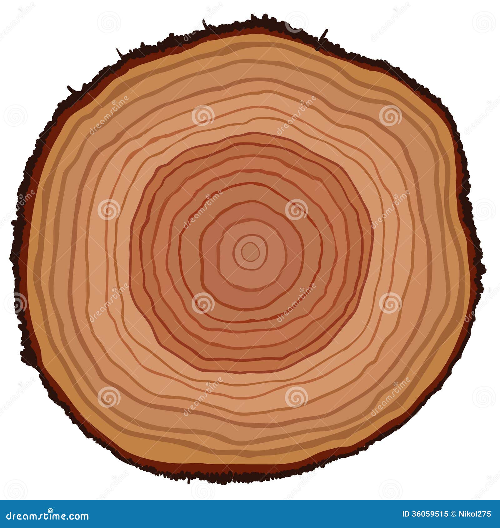 Tree Ring Vector File Stock Illustrations – 45 Tree Ring Vector File ...