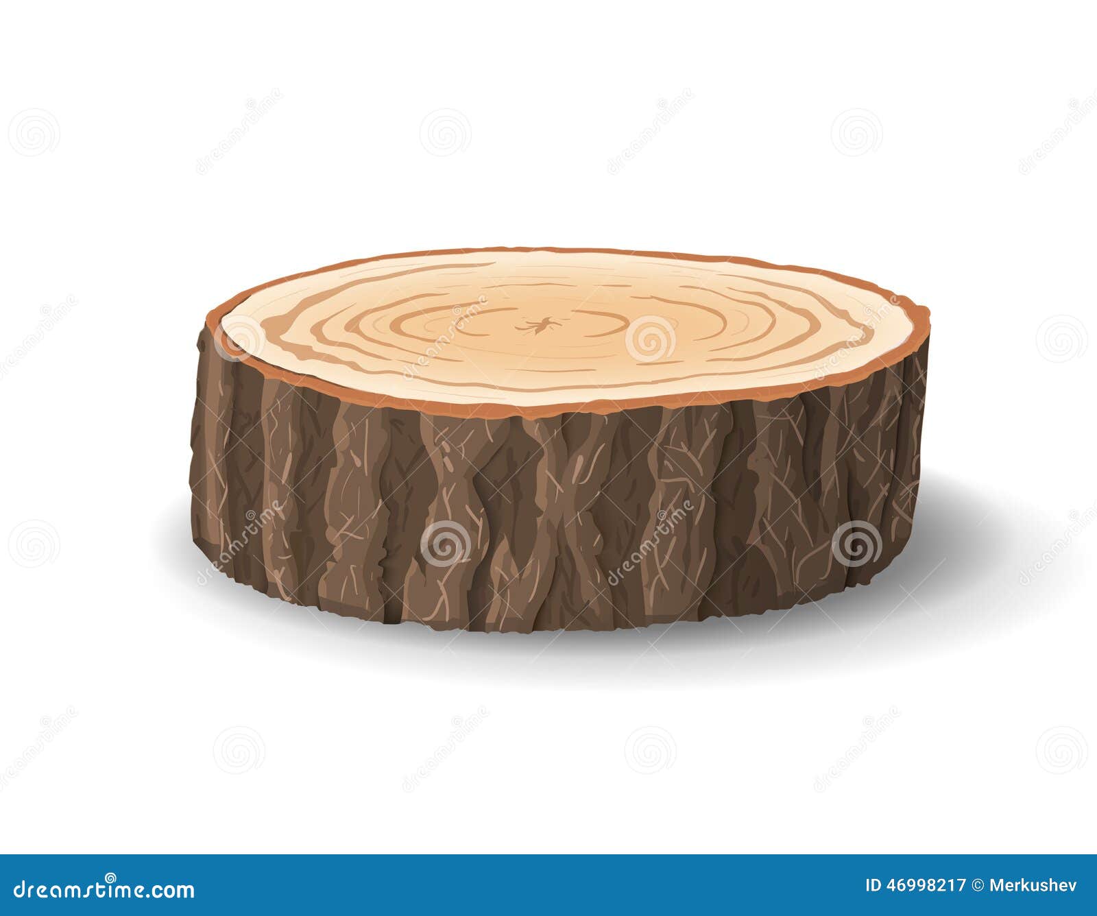 Cross Section Of Tree Stump, Vector Illustration Stock Vector ... Cross Section Of Tree Stump, Vector Illustration Stock Vector ...