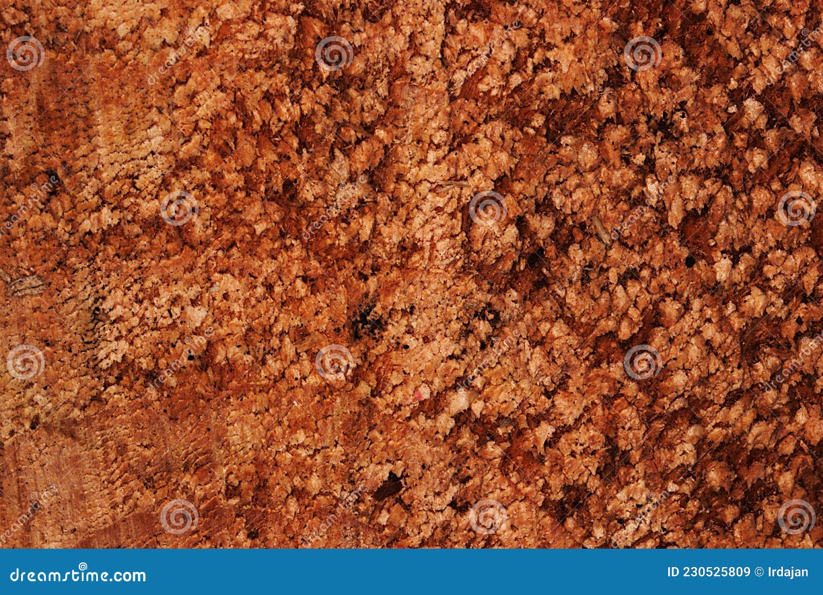 Cross Section of Tree Texture Stock Image - Image of great, macro ...