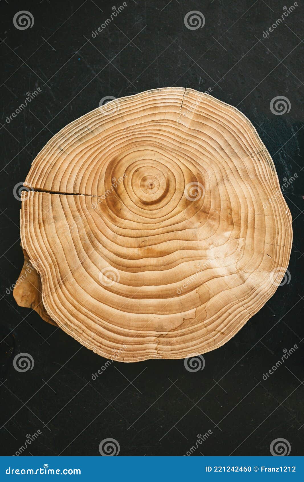 Cross Section of Tree Trunk on Black Table Stock Photo - Image of brown ...