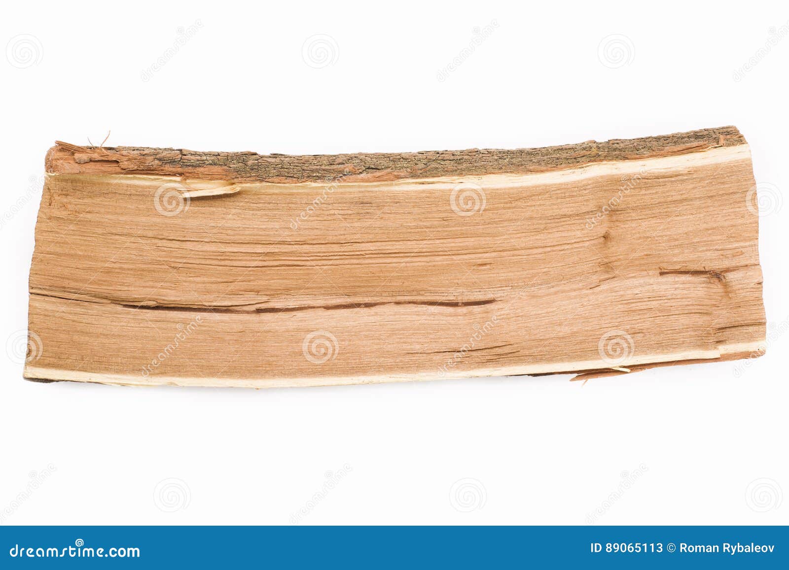 Cross Section Of Tree Trunk Isolated On White Background Stock Image ...