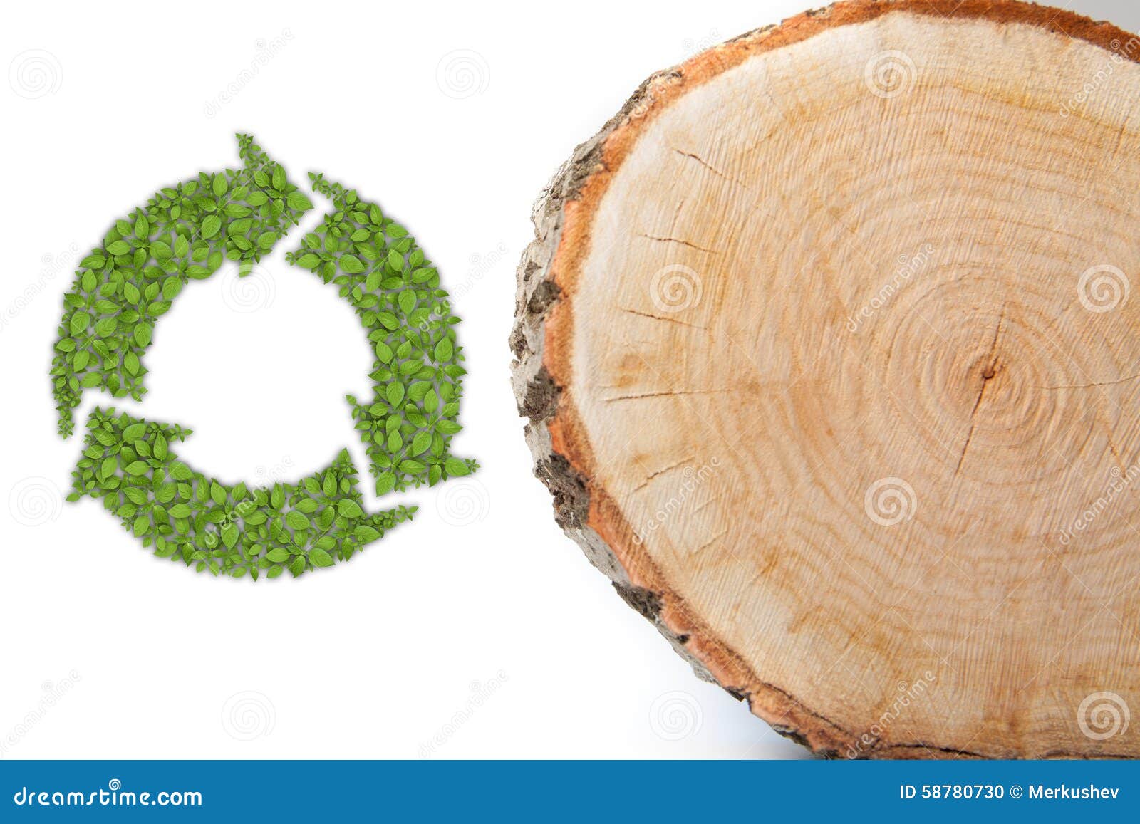 Cross Section of Tree Trunk with Recycle Symbol Stock Photo - Image of ...