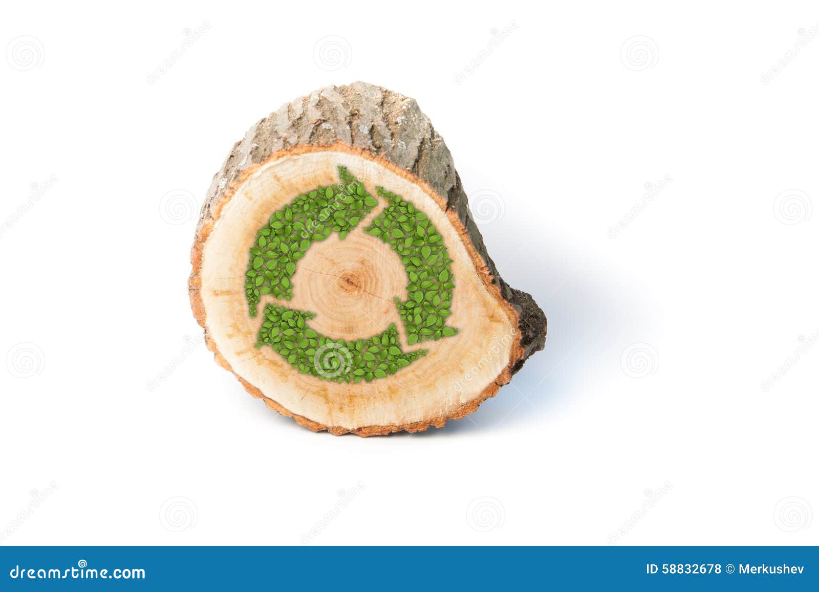 Cross Section of Tree Trunk with Recycle Symbol Stock Photo - Image of ...