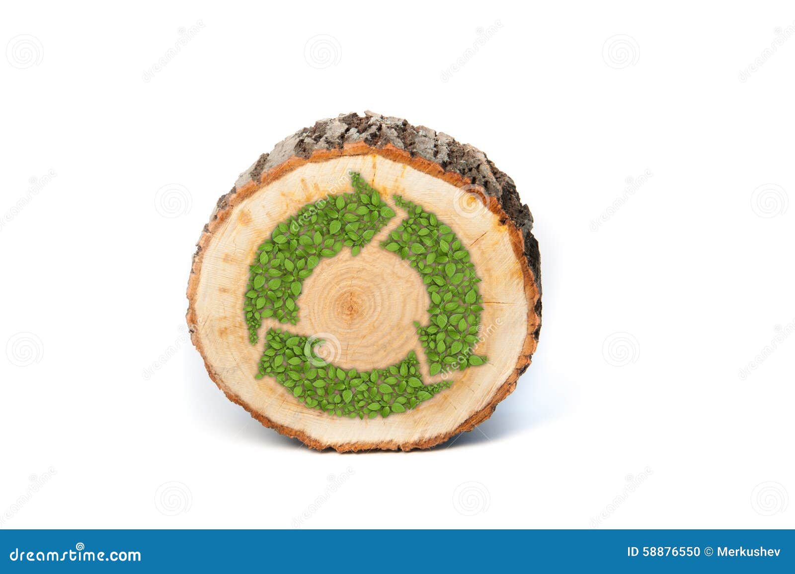 Cross Section of Tree Trunk with Recycle Symbol Stock Photo - Image of ...