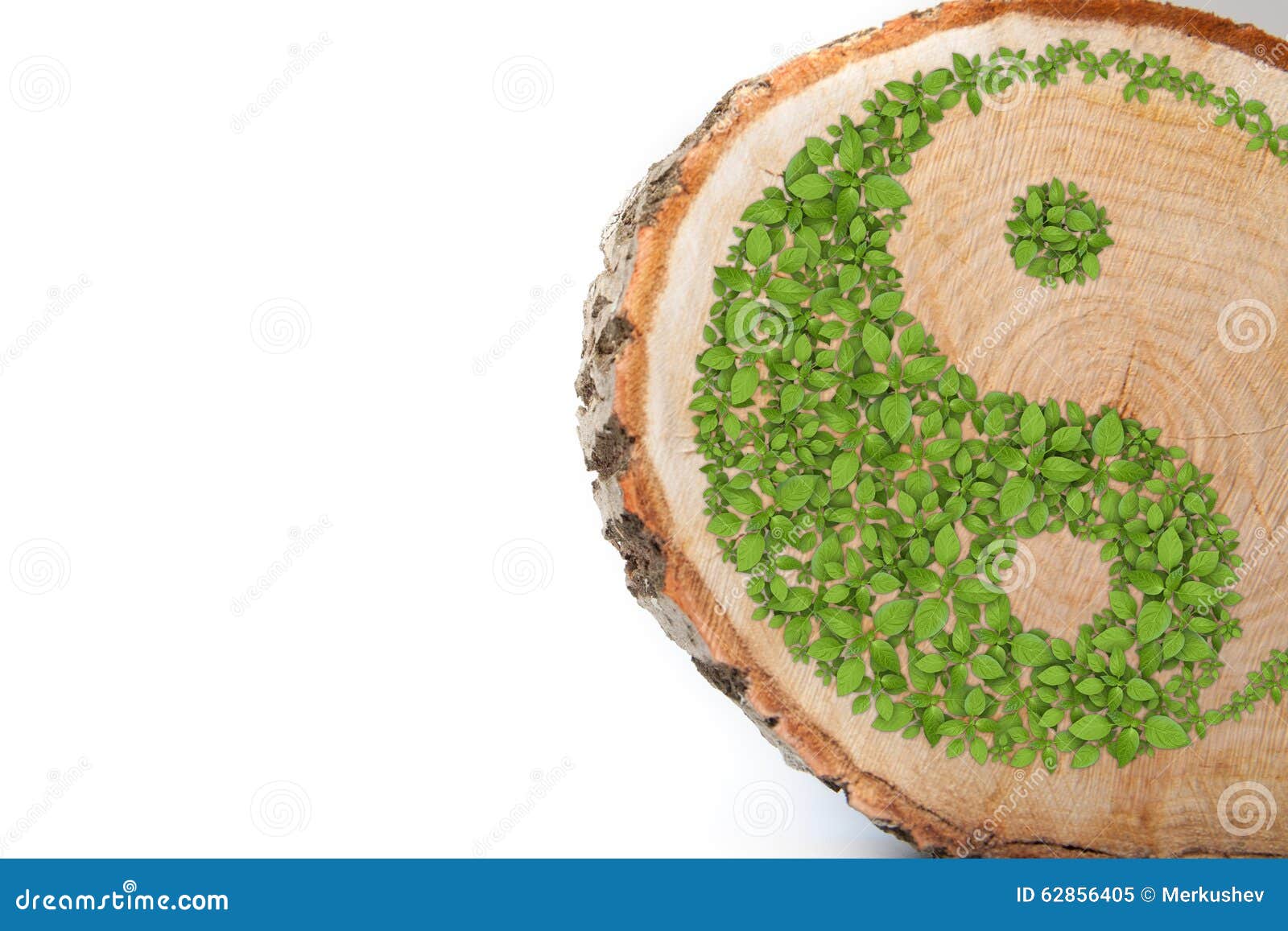 Cross Section of Tree Trunk with Ying Yang Symbol Stock Image - Image ...