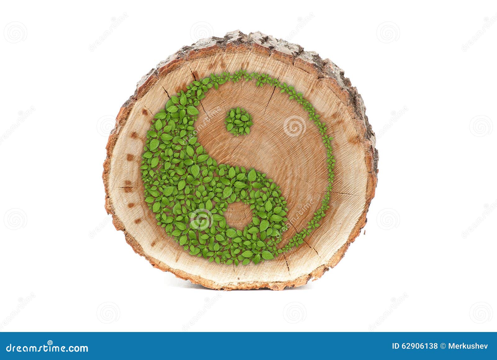 Cross Section of Tree Trunk with Ying Yang Symbol Stock Illustration ...