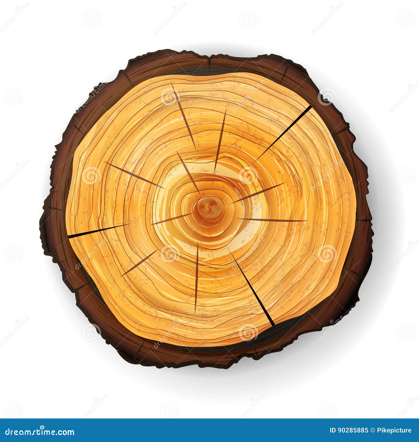 Cross Section Tree Wooden Stump Vector. Round Cut with Annual Rings ...
