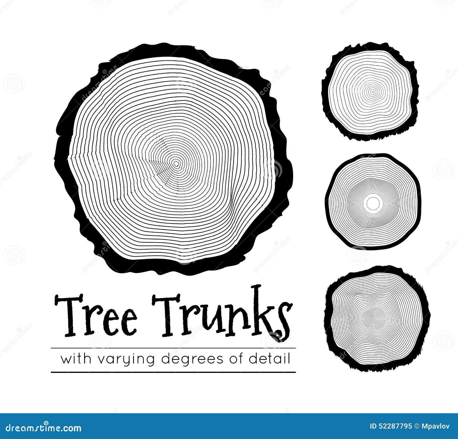 Cross Section of the Trunk, Vector Illustration Stock Vector ...