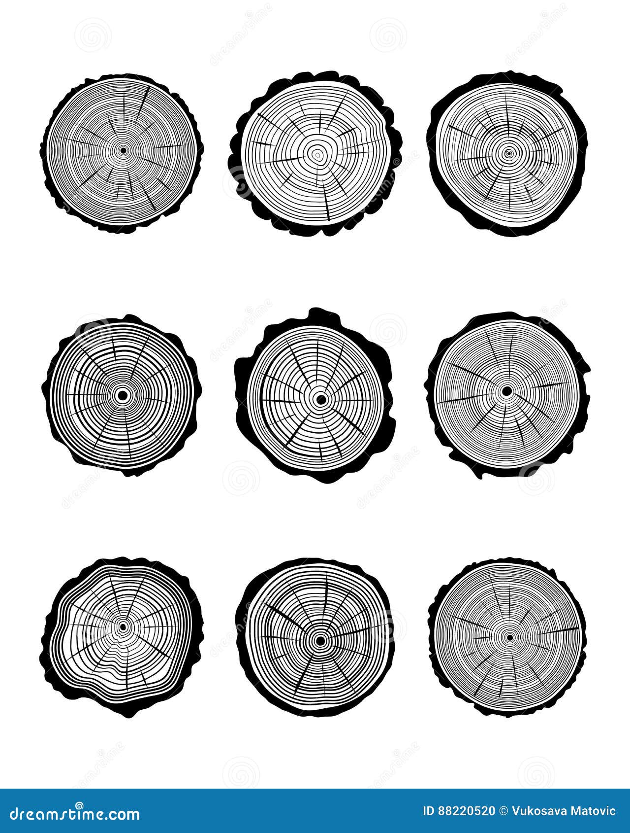 Cross section of trunks stock illustration. Illustration of element ...