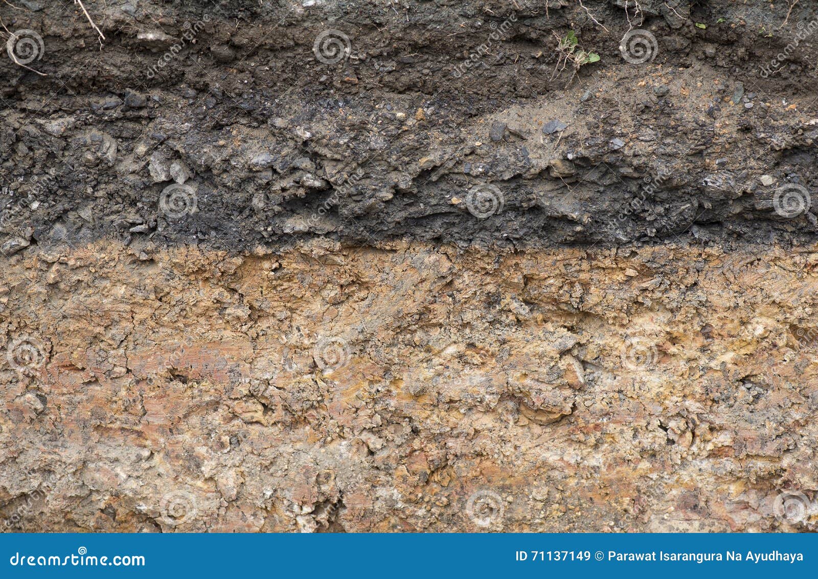 Cross Section Of Underground Soil Layers. Royalty-Free Stock Photo ...