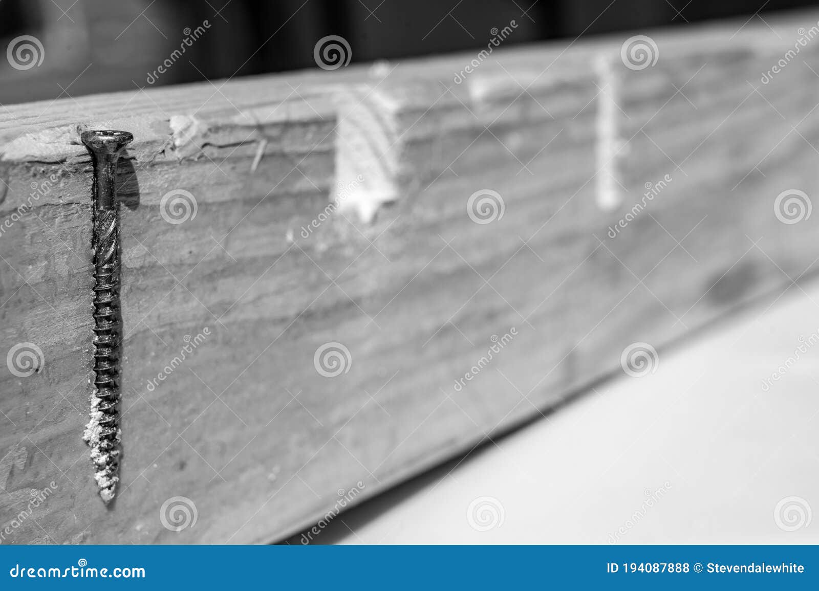 Cross-section View of a in a Pine Wooden Stud Stock Photo - Image of ...