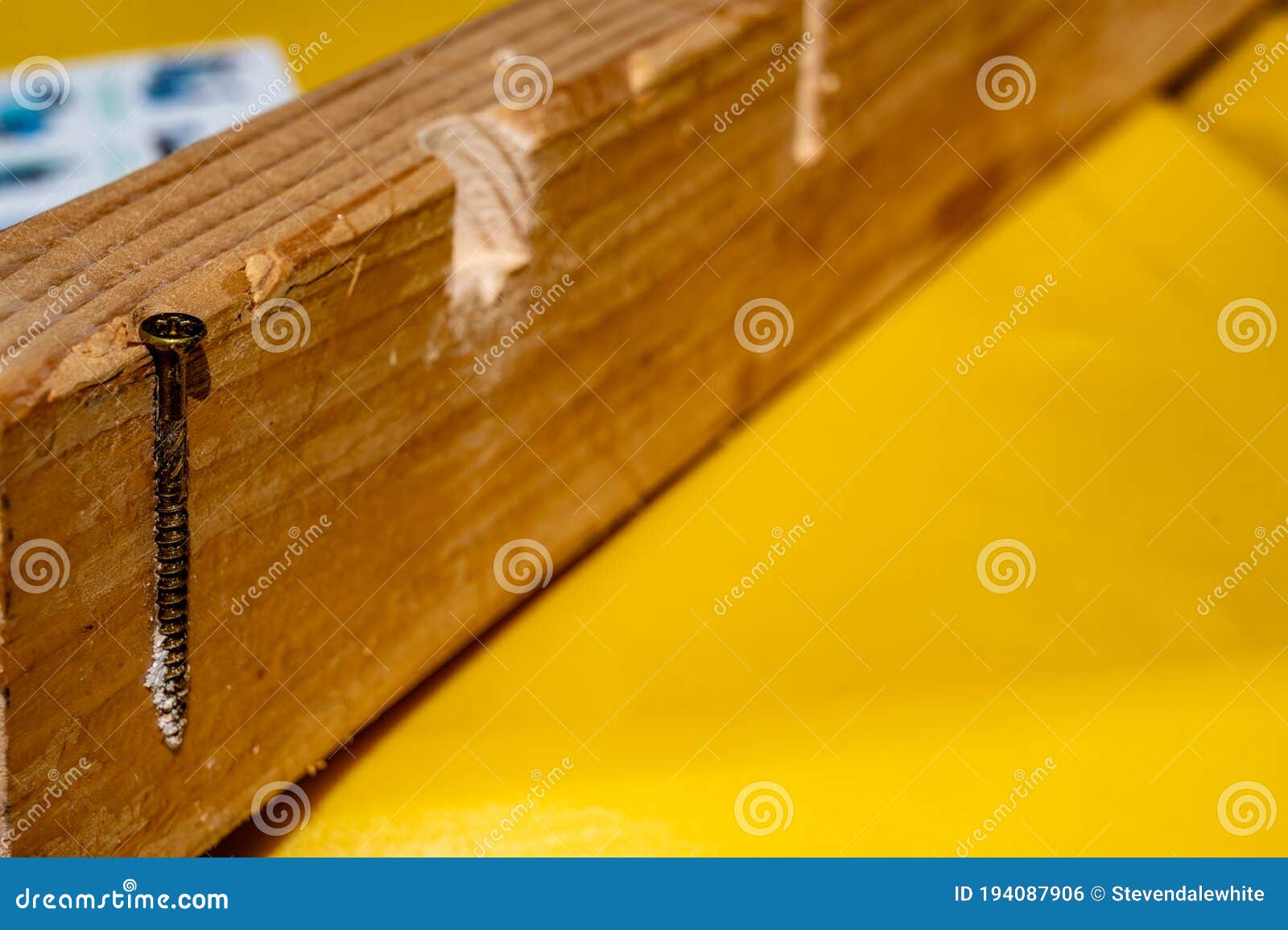 Cross-section View of a in a Pine Wooden Stud Stock Photo - Image of ...