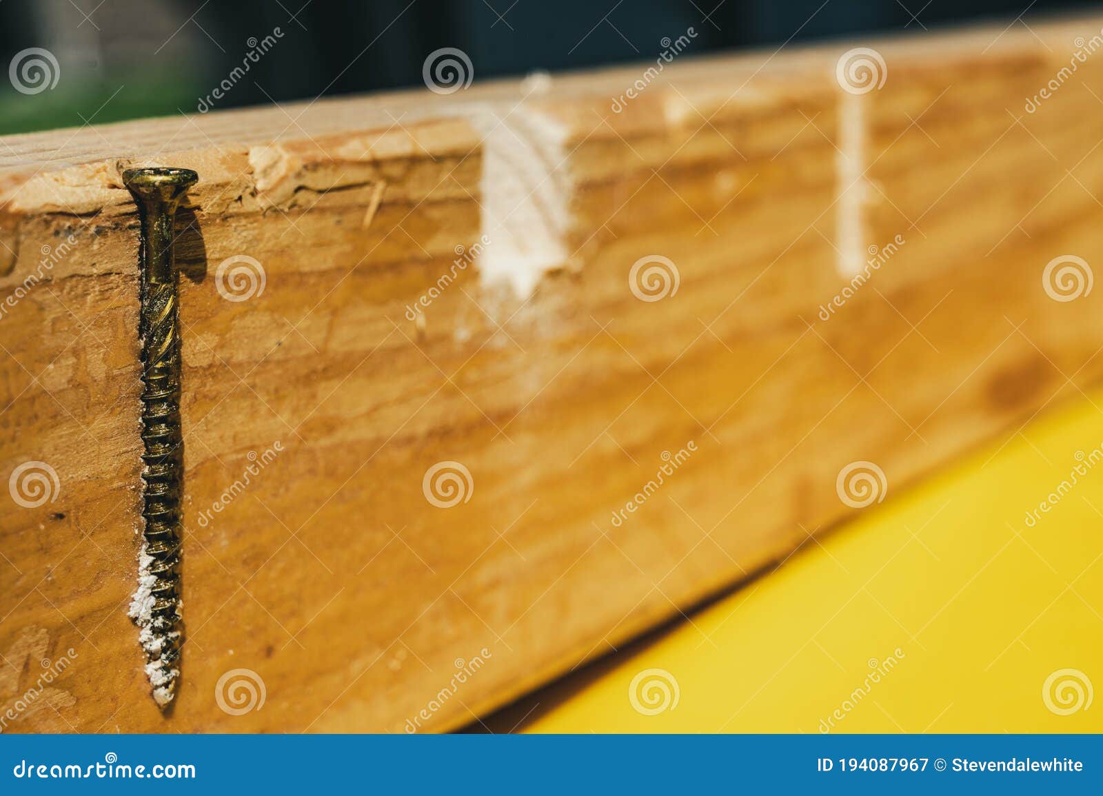 Cross-section View of a in a Pine Wooden Stud Stock Image - Image of ...