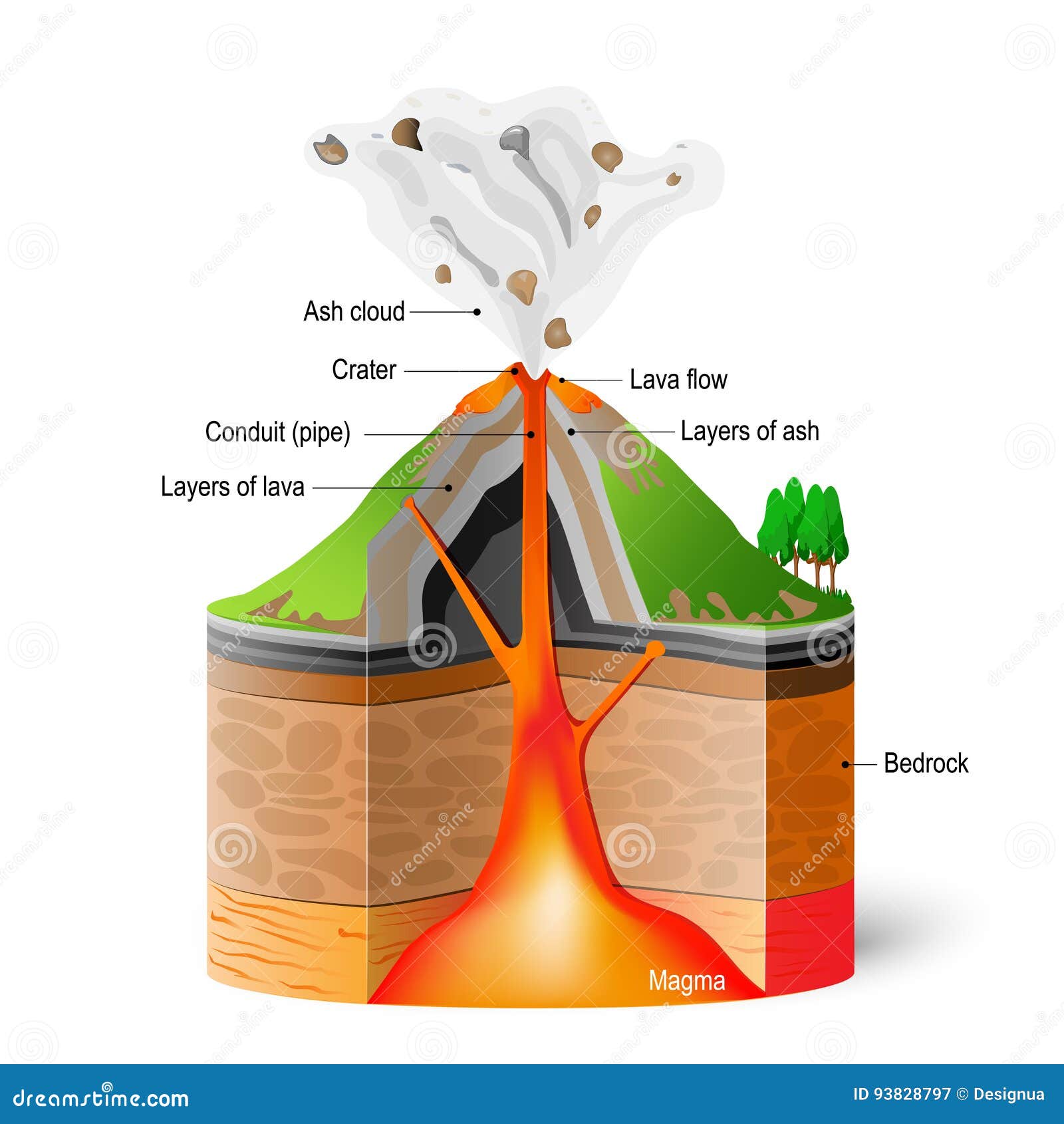 Cross-section of volcano stock vector. Illustration of tephra - 93828797 Cross-section of volcano stock vector. Illustration of tephra - 93828797